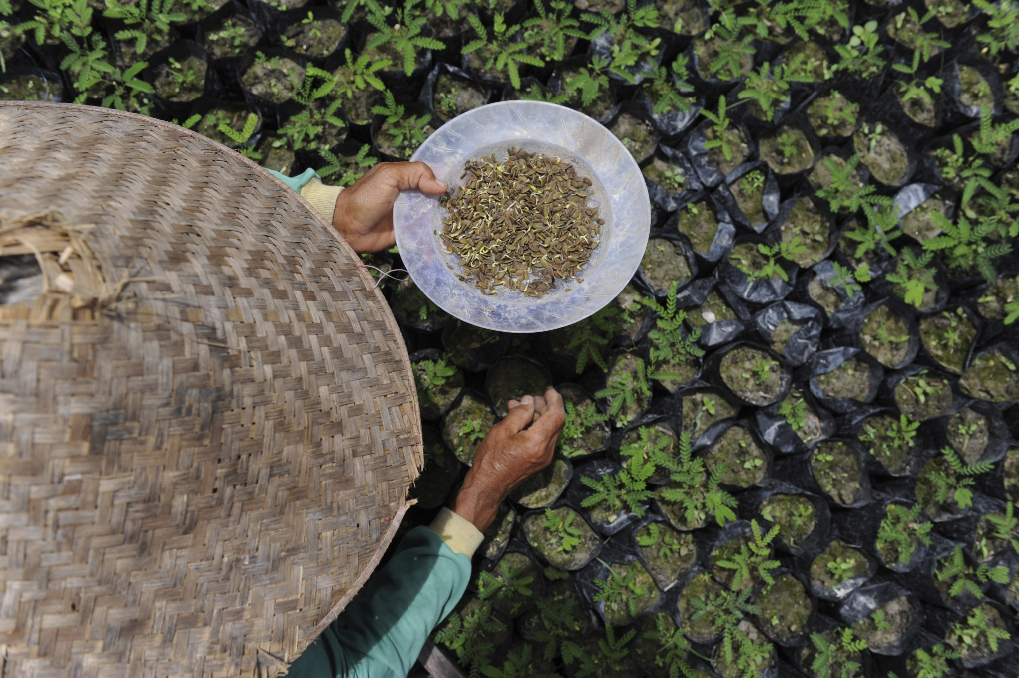 About us - Lightwood