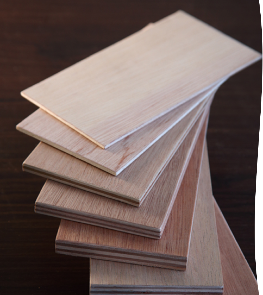 PT. Cipta Wijaya Mandiri - Lightwood