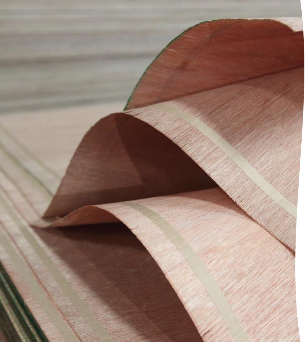 PT. Cipta Wijaya Mandiri - Lightwood