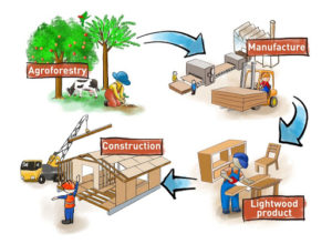 World's tallest Timber Building 'HoHo Tower' in Vienna - Lightwood